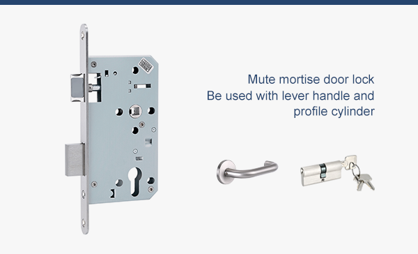 Common Types of Fire Rated Mortise Lock and Their Applications - Dirock ...